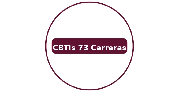 CBTis 73 Carreras Técnicas Río Bravo