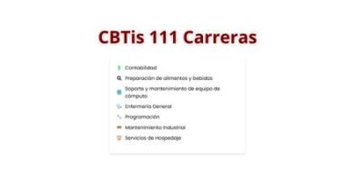 CBTis 111 CARRERAS Técnicas 2024 - Cancún